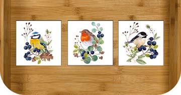 Paperproducts Design - Home of the Amazon Specialists